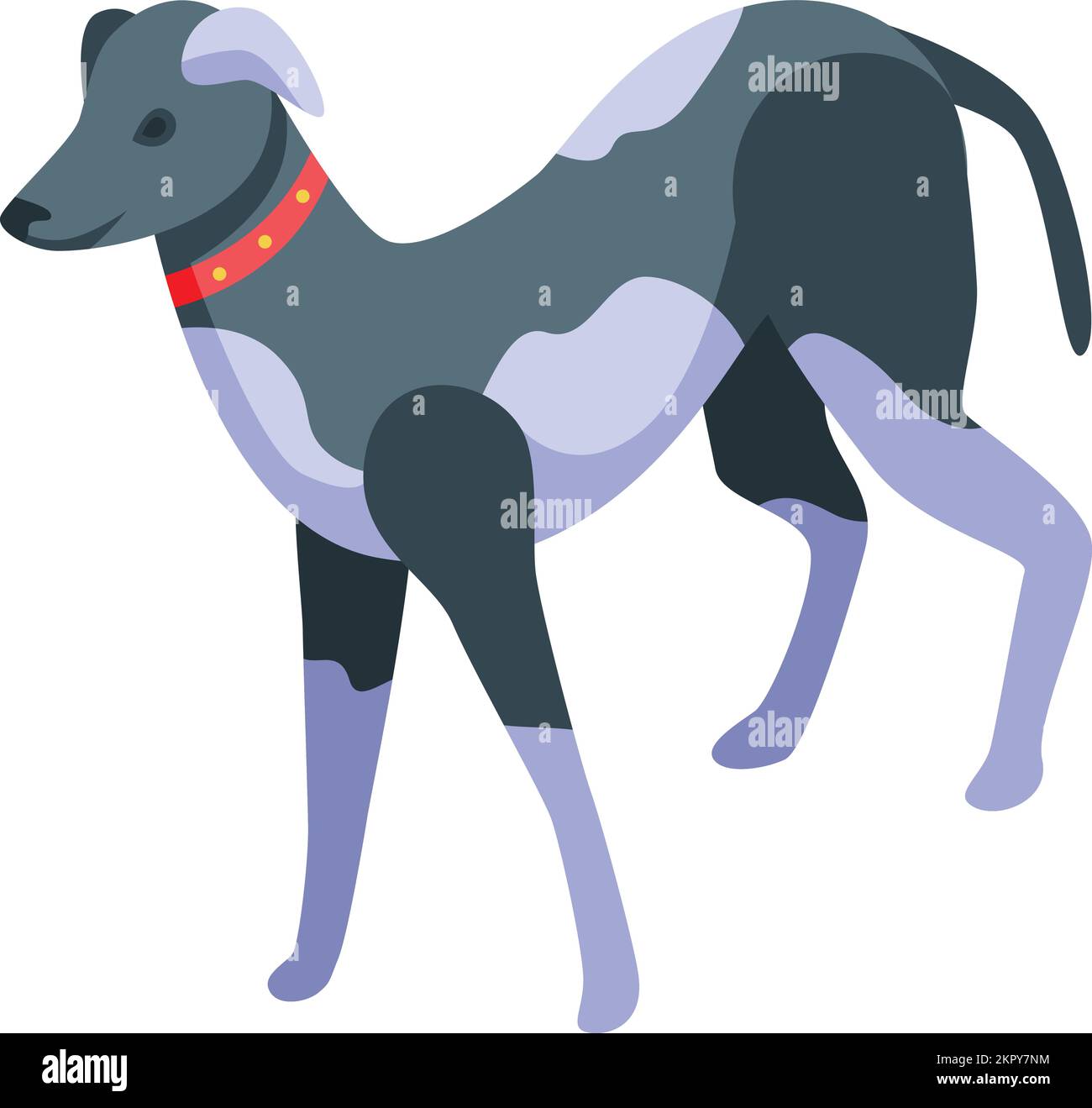 Sport dog icon isometric vector. Animal pet. Canine domestic Stock ...