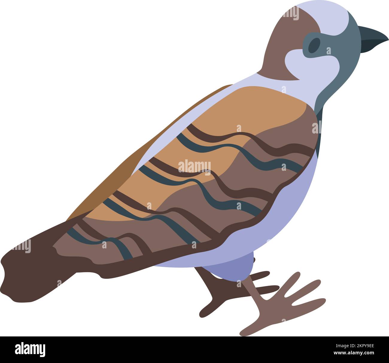 Female house sparrow winter Stock Vector Images - Alamy