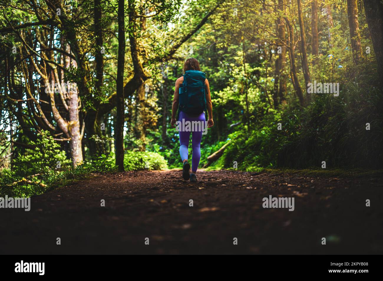 Description: Beautiful woman with backpack walking through idyllic ...