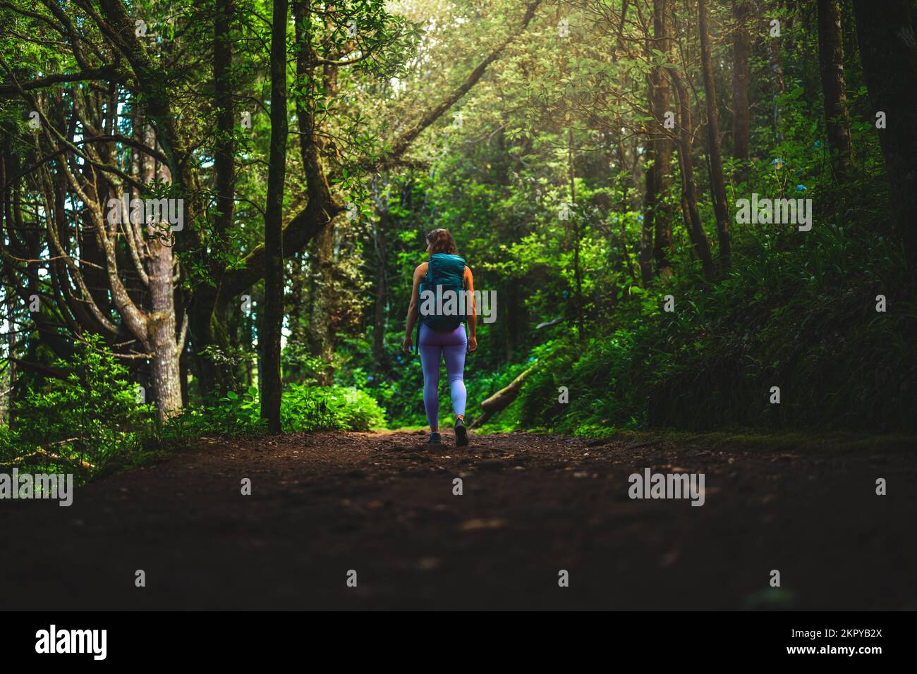 Description: Beautiful woman with backpack walking through idyllic ...