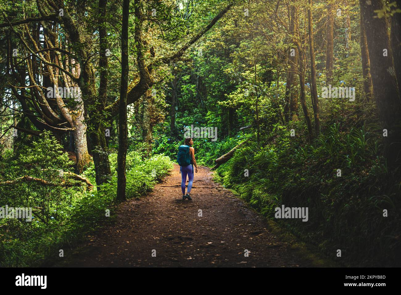 Description: Beautiful woman with backpack walking through idyllic ...