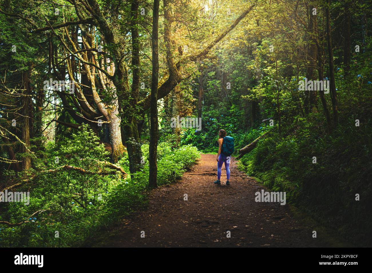 Description: Beautiful woman with backpack walking through idyllic ...