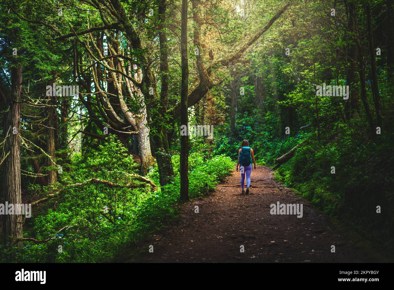 Description: Beautiful woman with backpack walking through idyllic ...