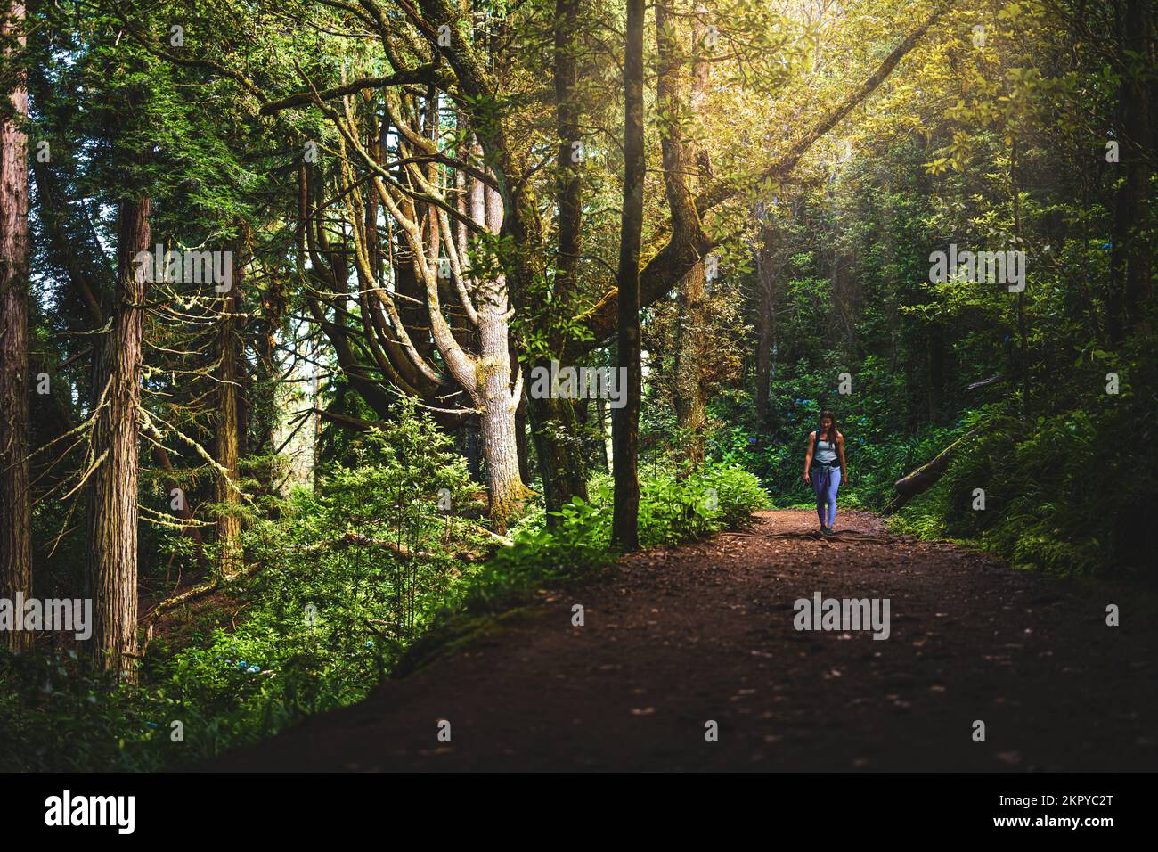 Description: Beautiful woman with backpack walking through idyllic ...