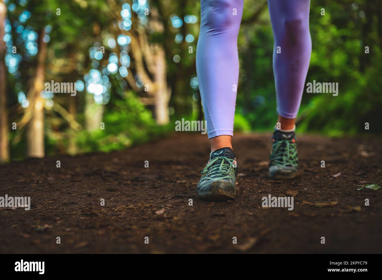 Description: Woman legs walking through idyllic beautiful forest in the ...