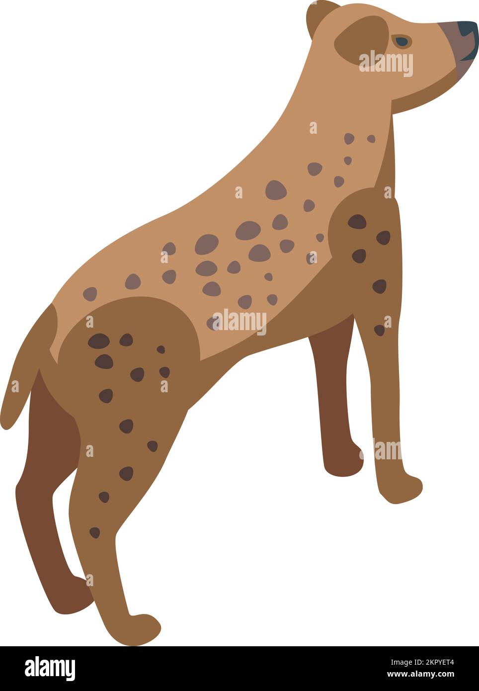 Wild dog icon isometric vector. Hyena animal. Nature striped Stock ...