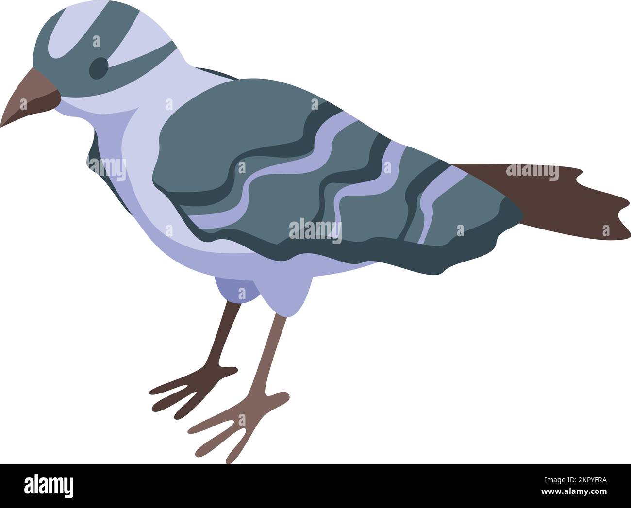 Grey sparrow icon isometric vector. Bird branch. Wing wild Stock Vector ...