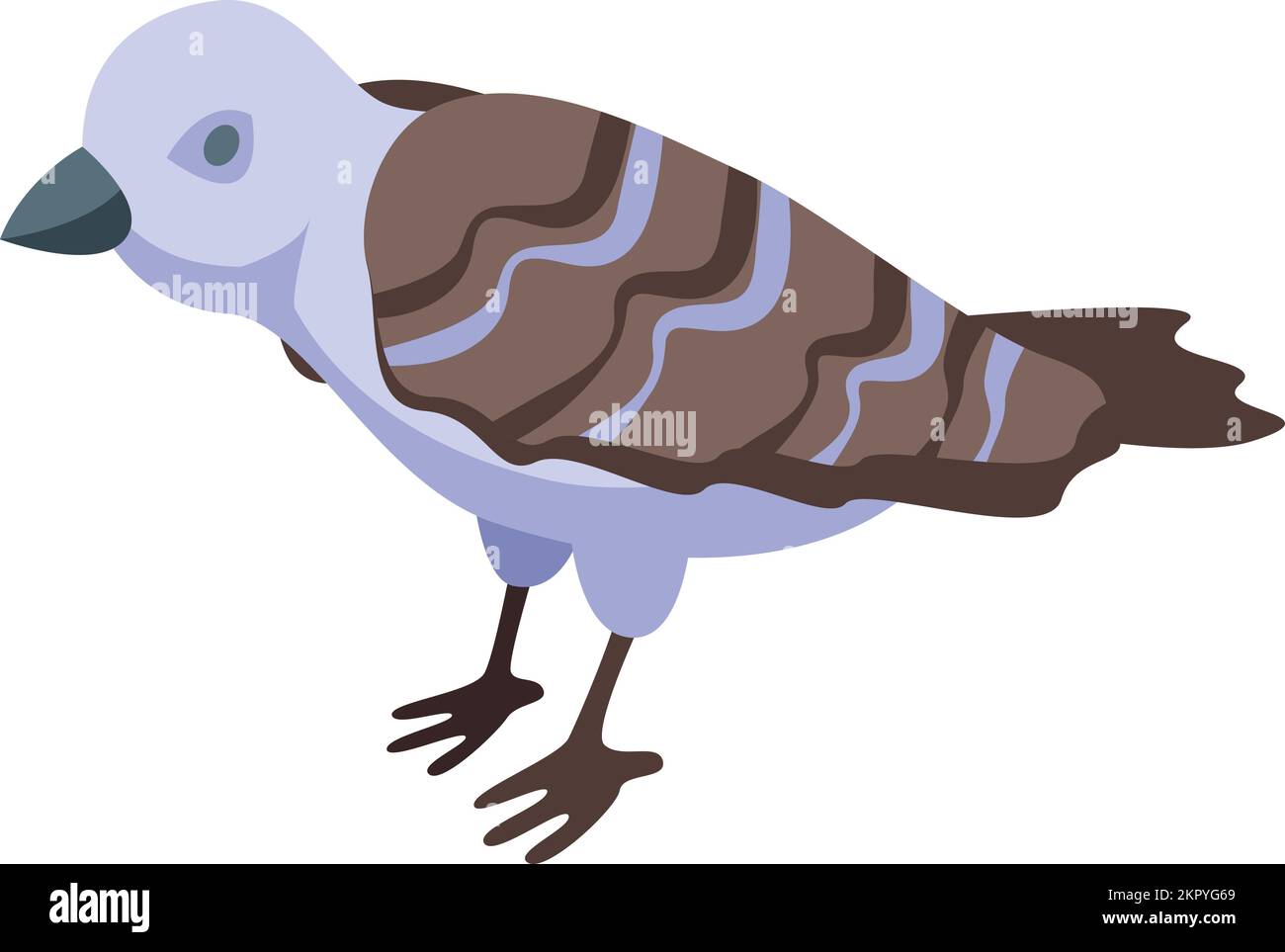 Wild sparrow icon isometric vector. Bird house. Fly male Stock Vector ...