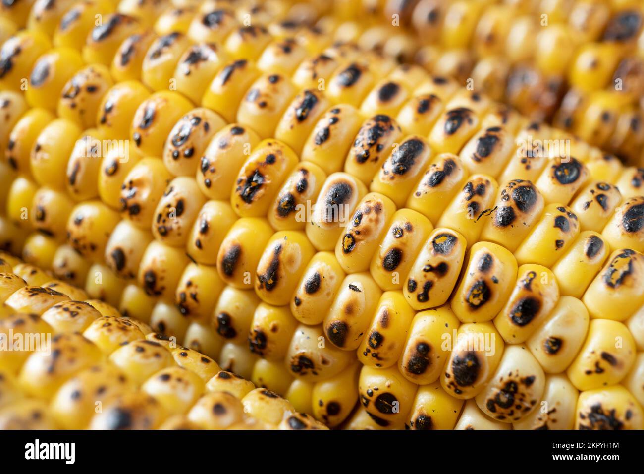 Grilled corn close-up on concrete background, traditional american ...