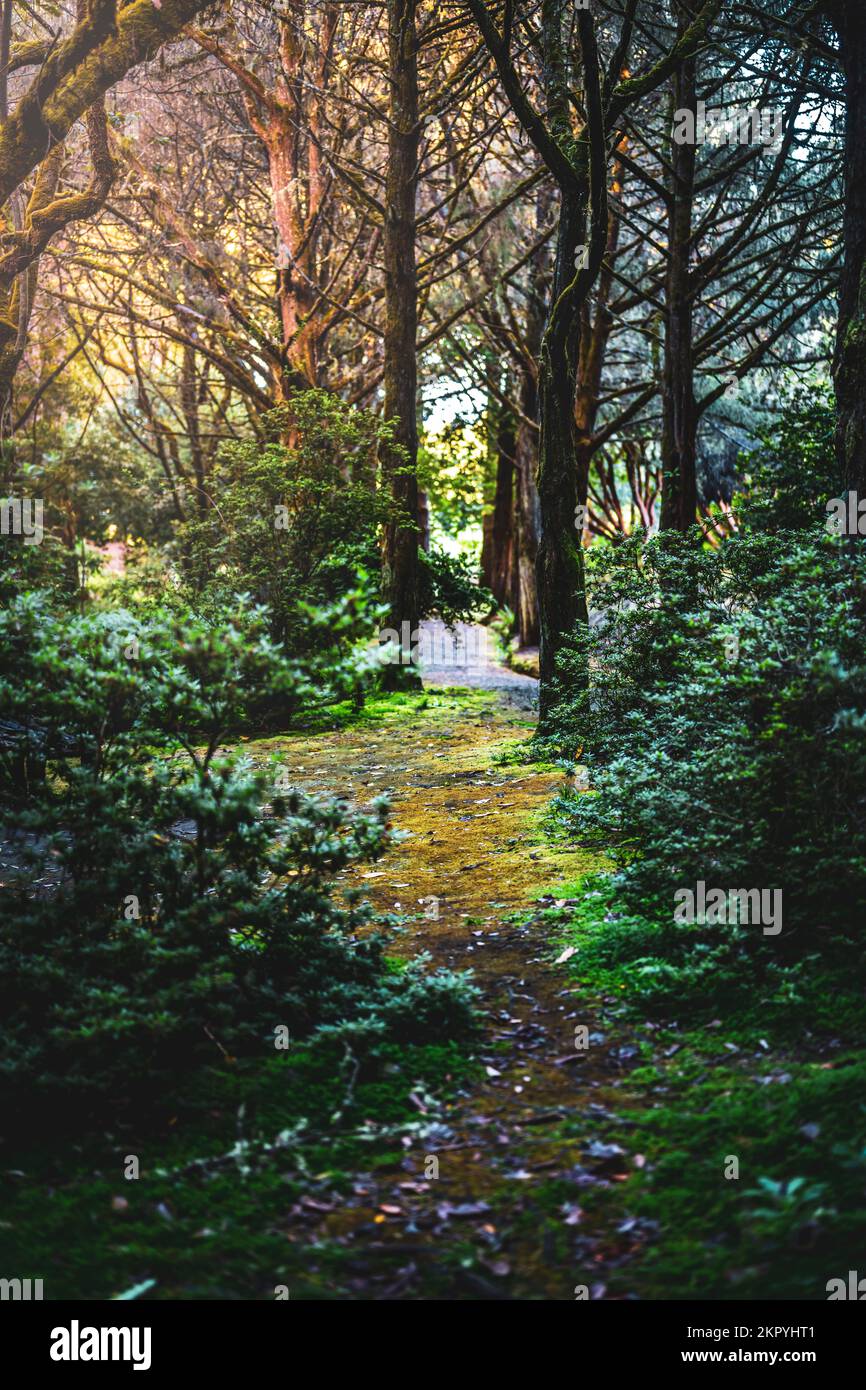 Warm light atmosphere hi-res stock photography and images - Alamy