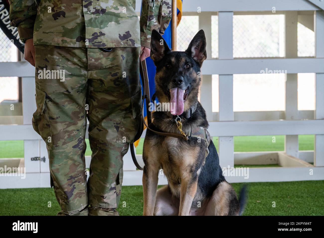 Johnny johnson squadron hi-res stock photography and images - Alamy