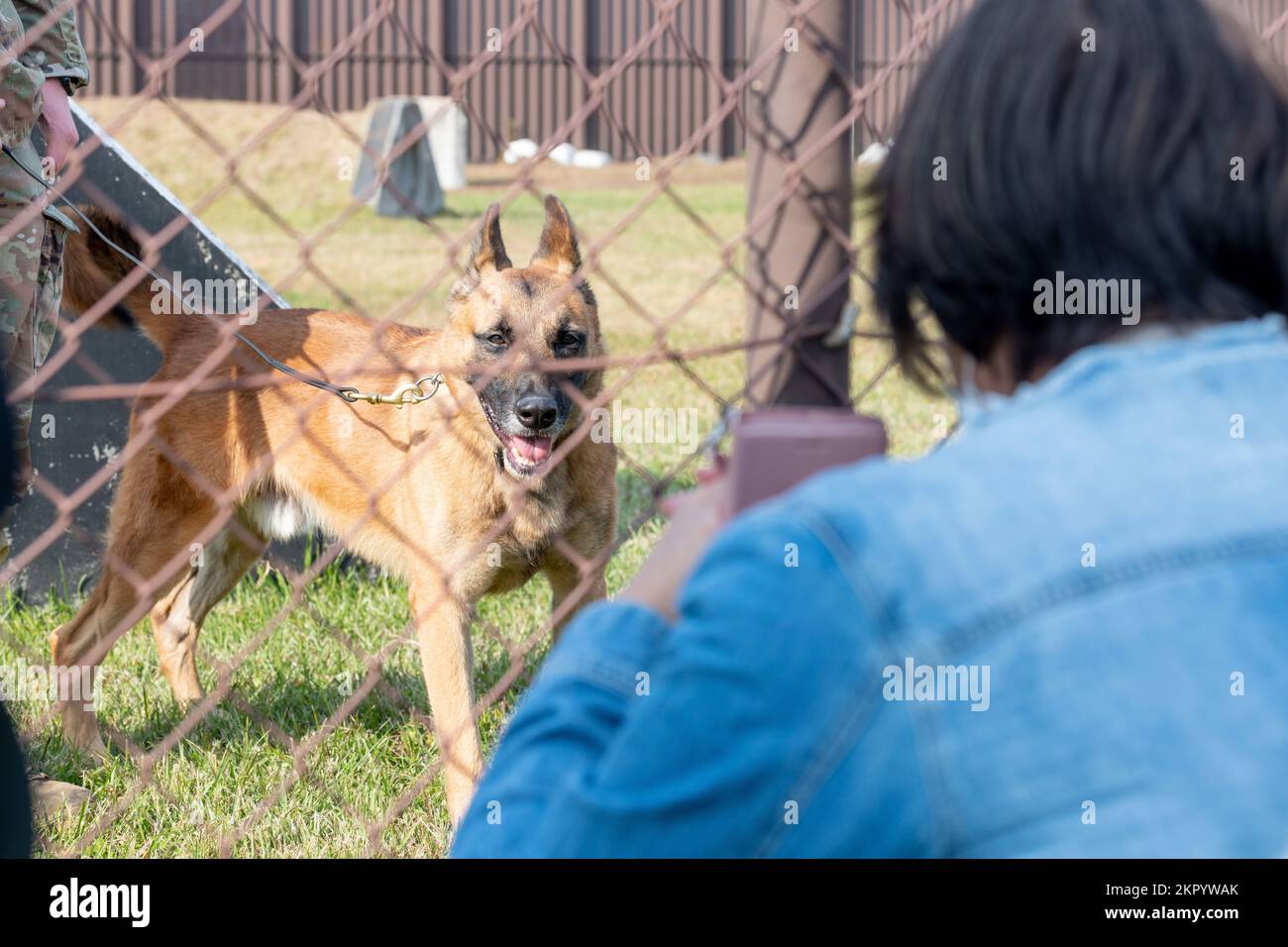 The kennels members’ club hi-res stock photography and images - Alamy