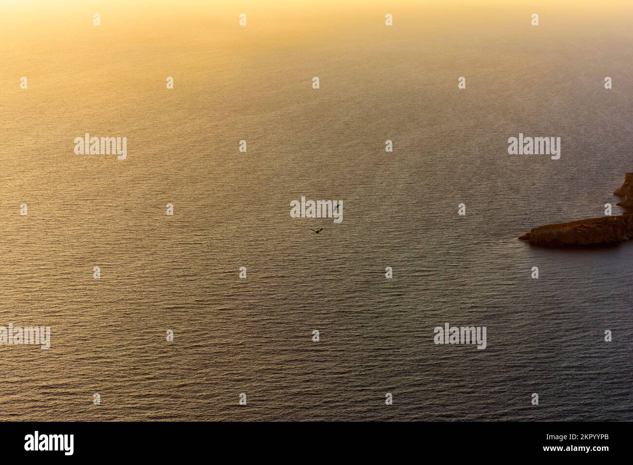 Surface water background of the ocean at sunset with a golden light ...