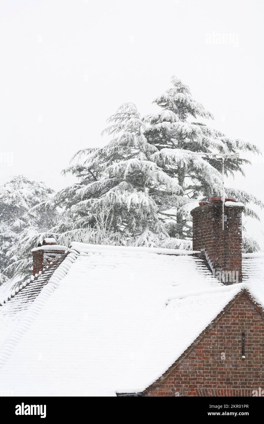 Winter scene with snow on the roof of a suburban house during a snow ...