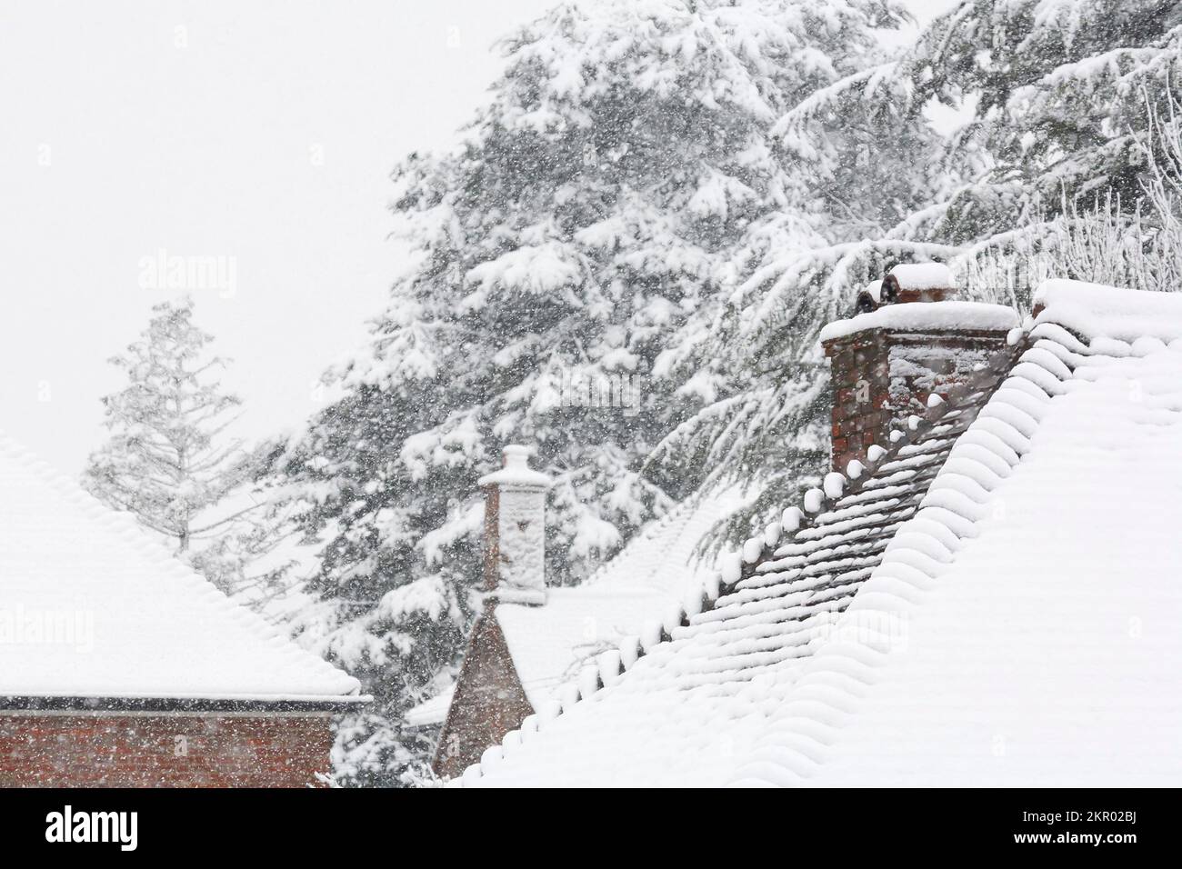 Uk suburb rooftops hi-res stock photography and images - Alamy