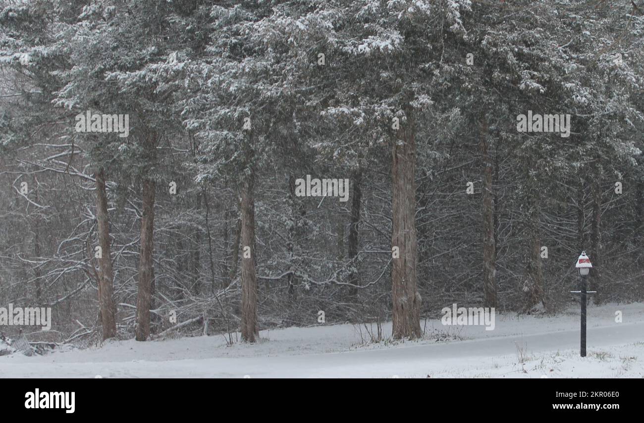 Narnia landscape hi-res stock photography and images - Alamy