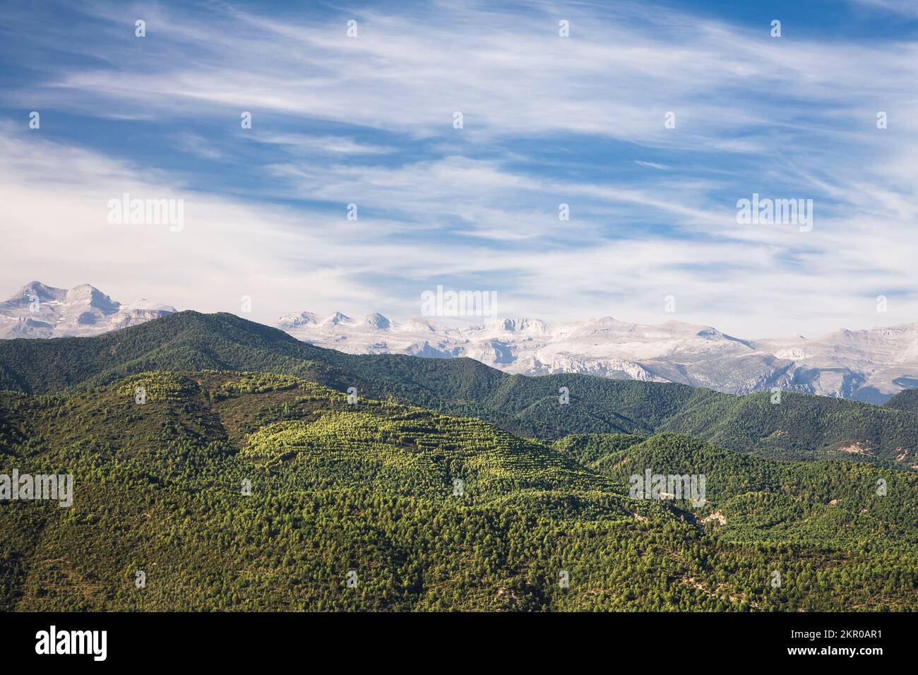 Spanish landscape with forest covering hills and Pyrenees mountains in ...
