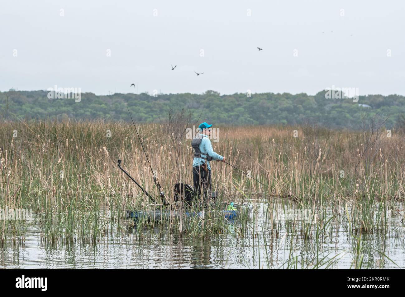 Bending reeds hi-res stock photography and images - Alamy