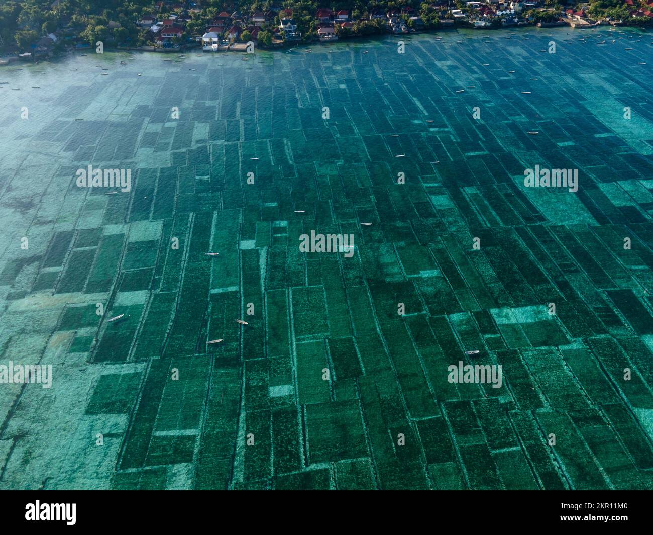 Aerial view of seaweed plantation at Nusa Lembongan island, Bali Stock ...