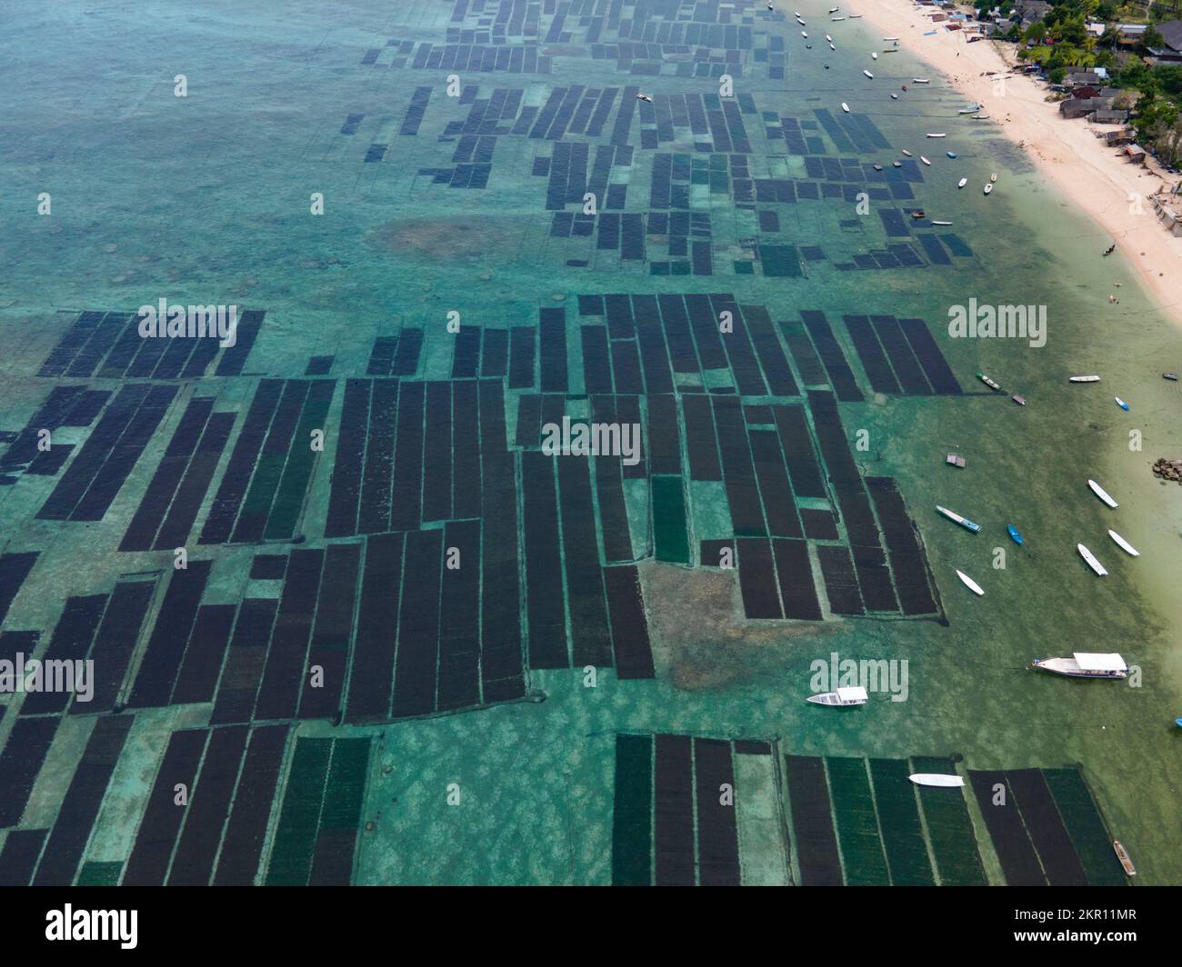 Aerial view of seaweed plantation hi-res stock photography and images ...
