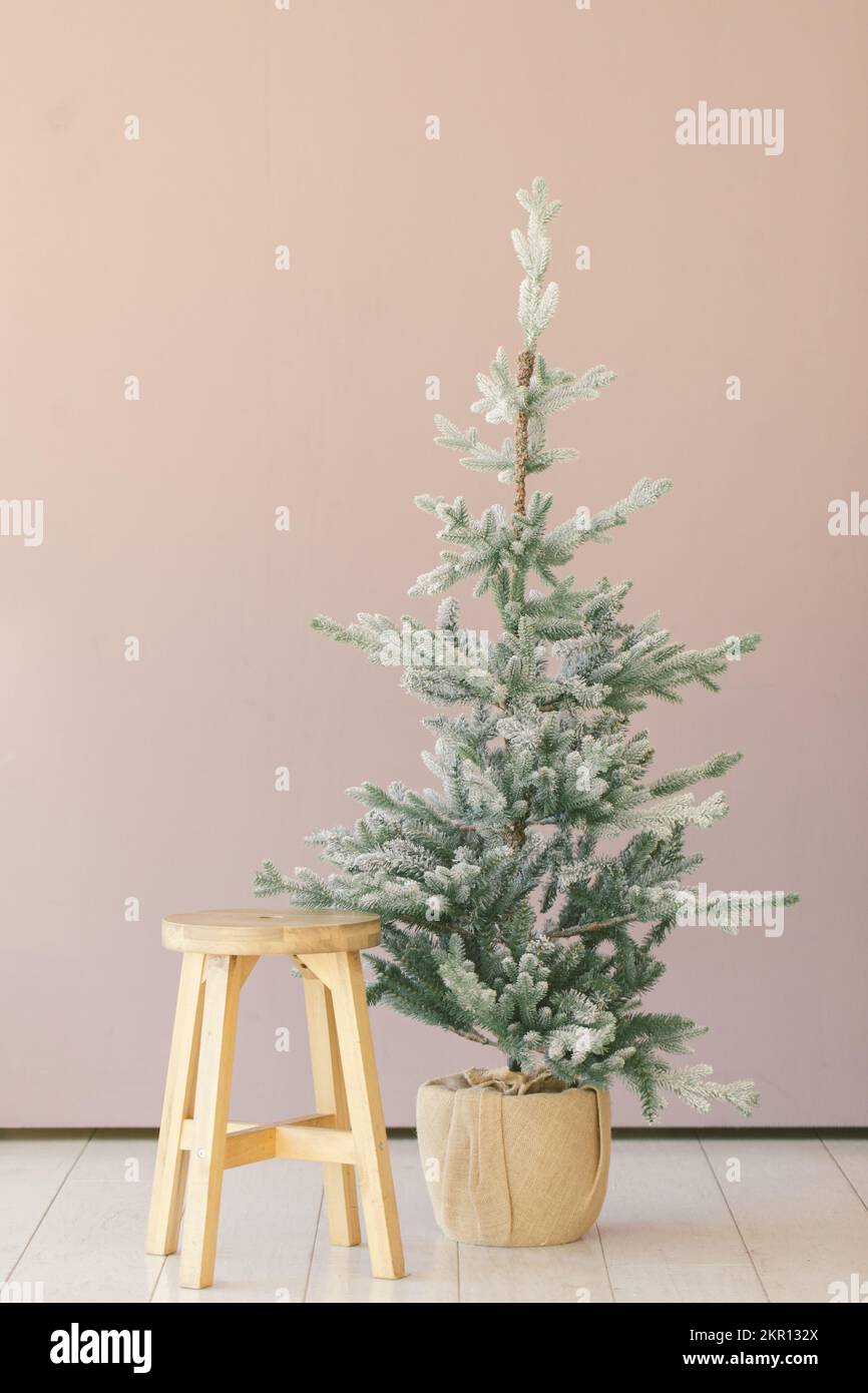 Minimal christmas photo with small christmas tree wrapped in bur Stock ...