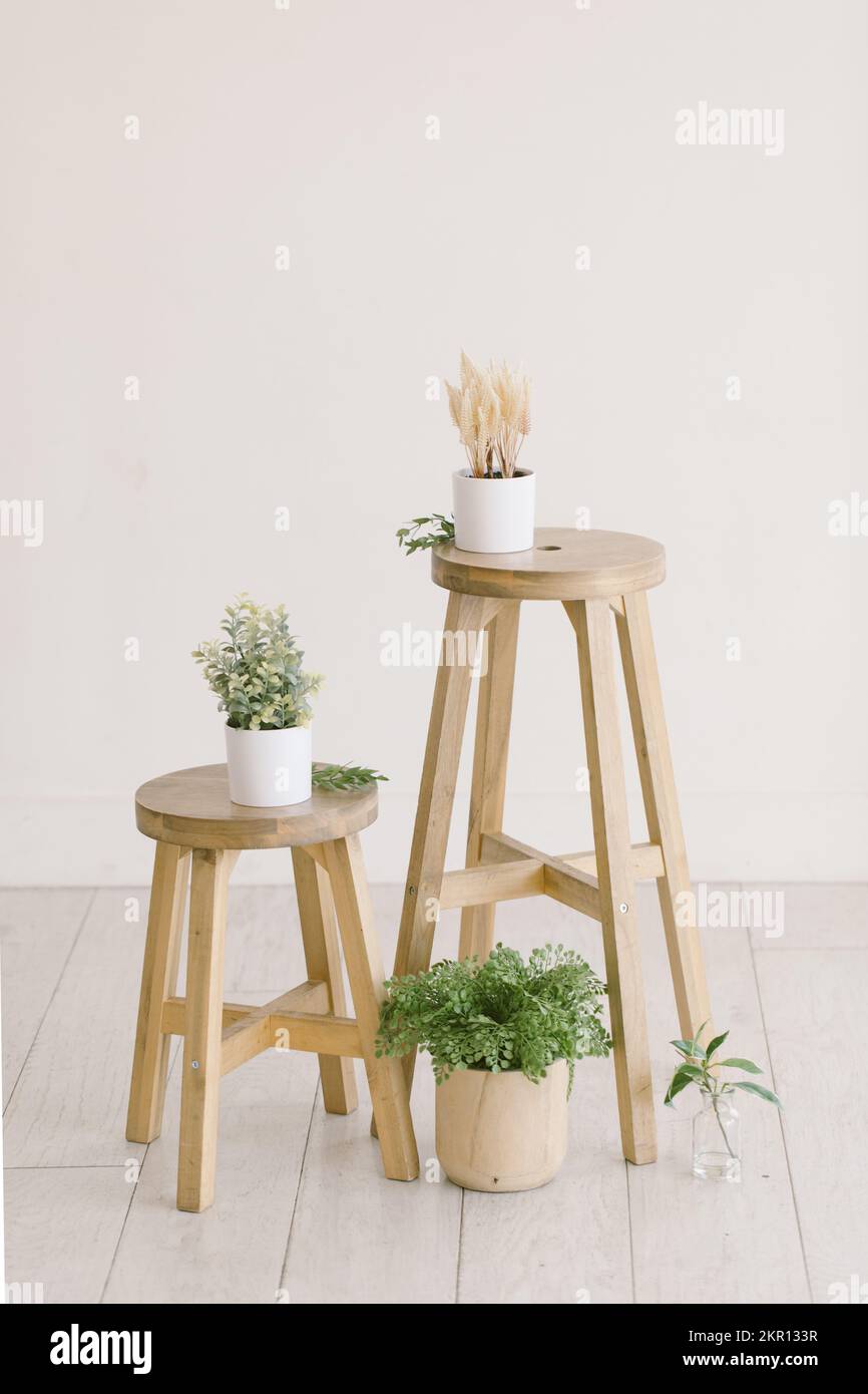 Abstract photo of wooden stools with house plants surrounding th Stock ...