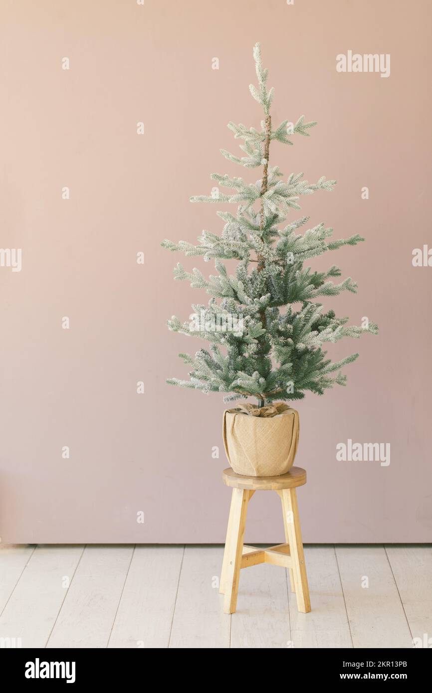 Small christmas tree sitting on top of stool in a minimal room Stock ...