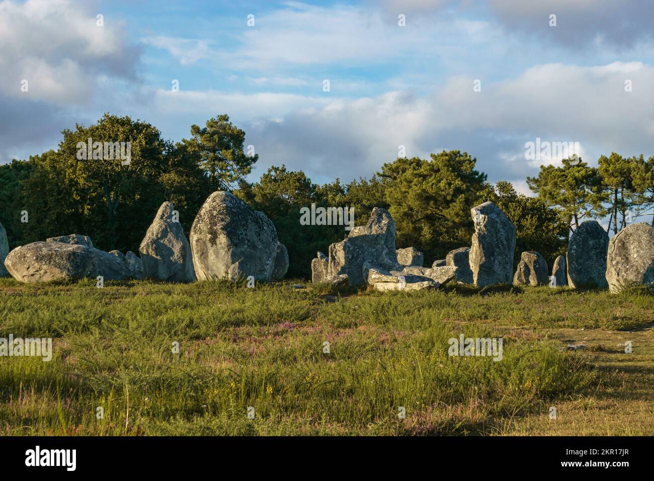 Miles long megalithic stones alignment on green meadow in Carnac ...