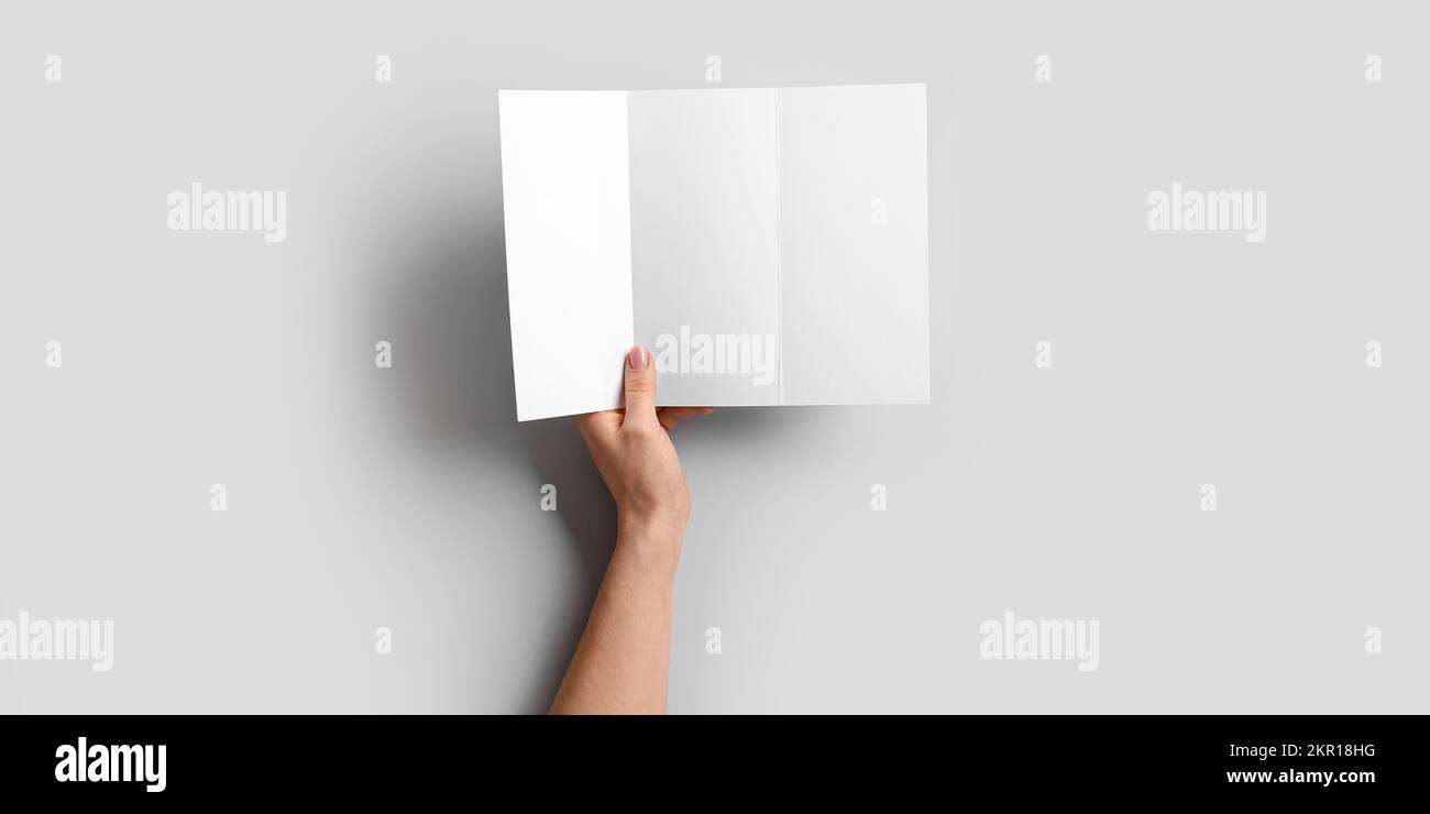 Hand with blank brochure on light background Stock Photo - Alamy
