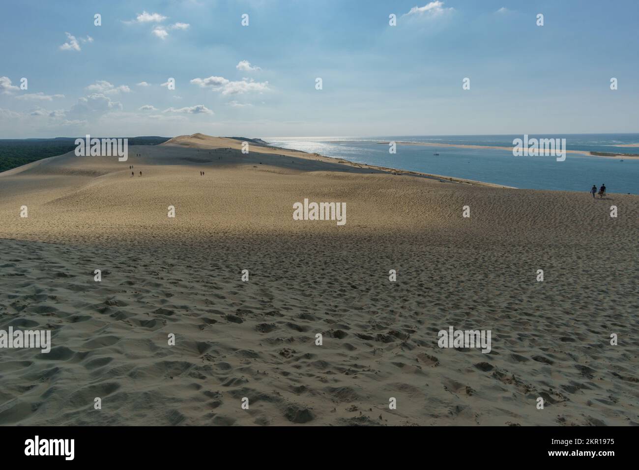 Sandy dune du Pilat, the biggest sand dune in Europe with the pine ...
