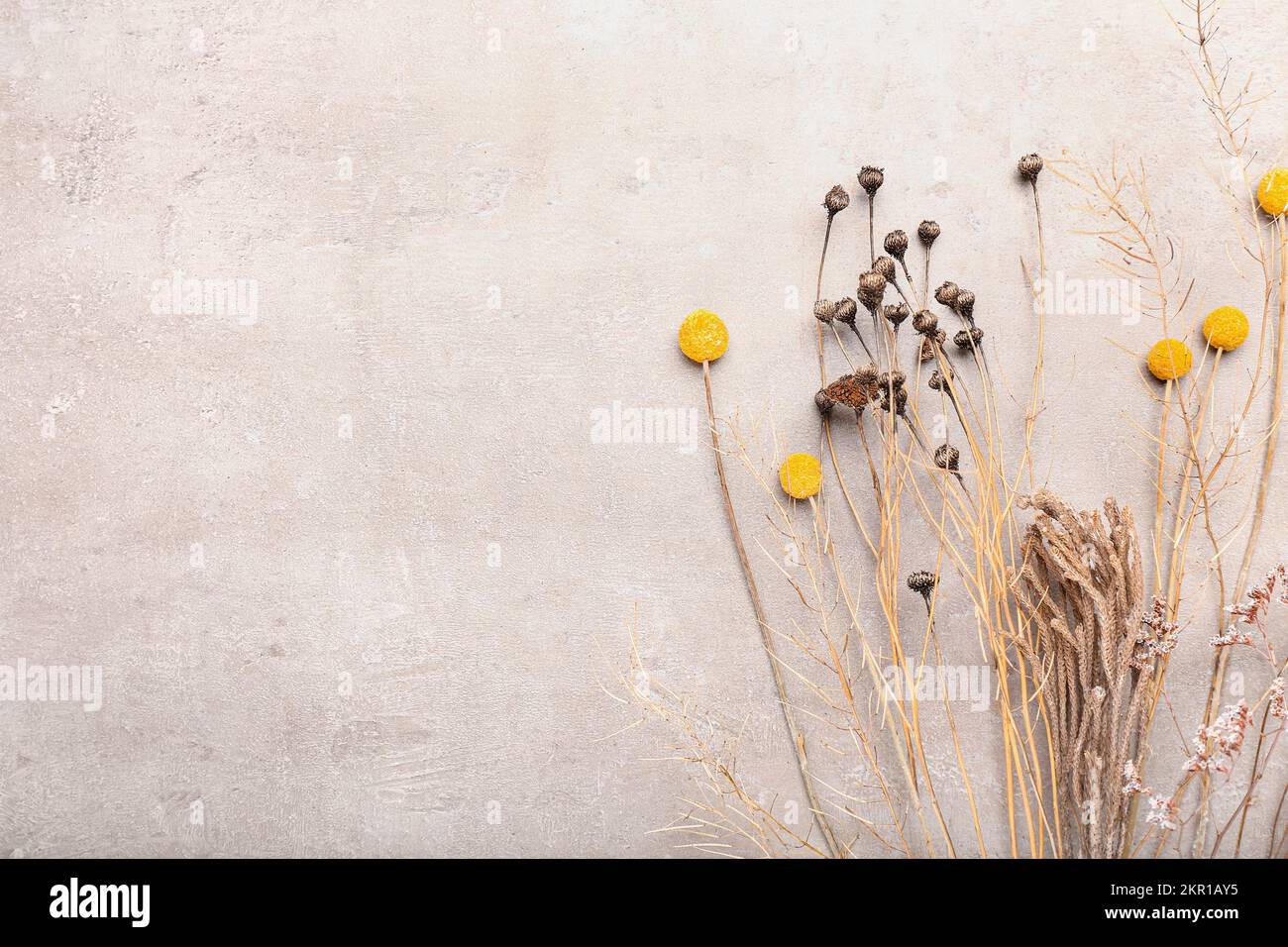 Dried flowers on light background Stock Photo - Alamy