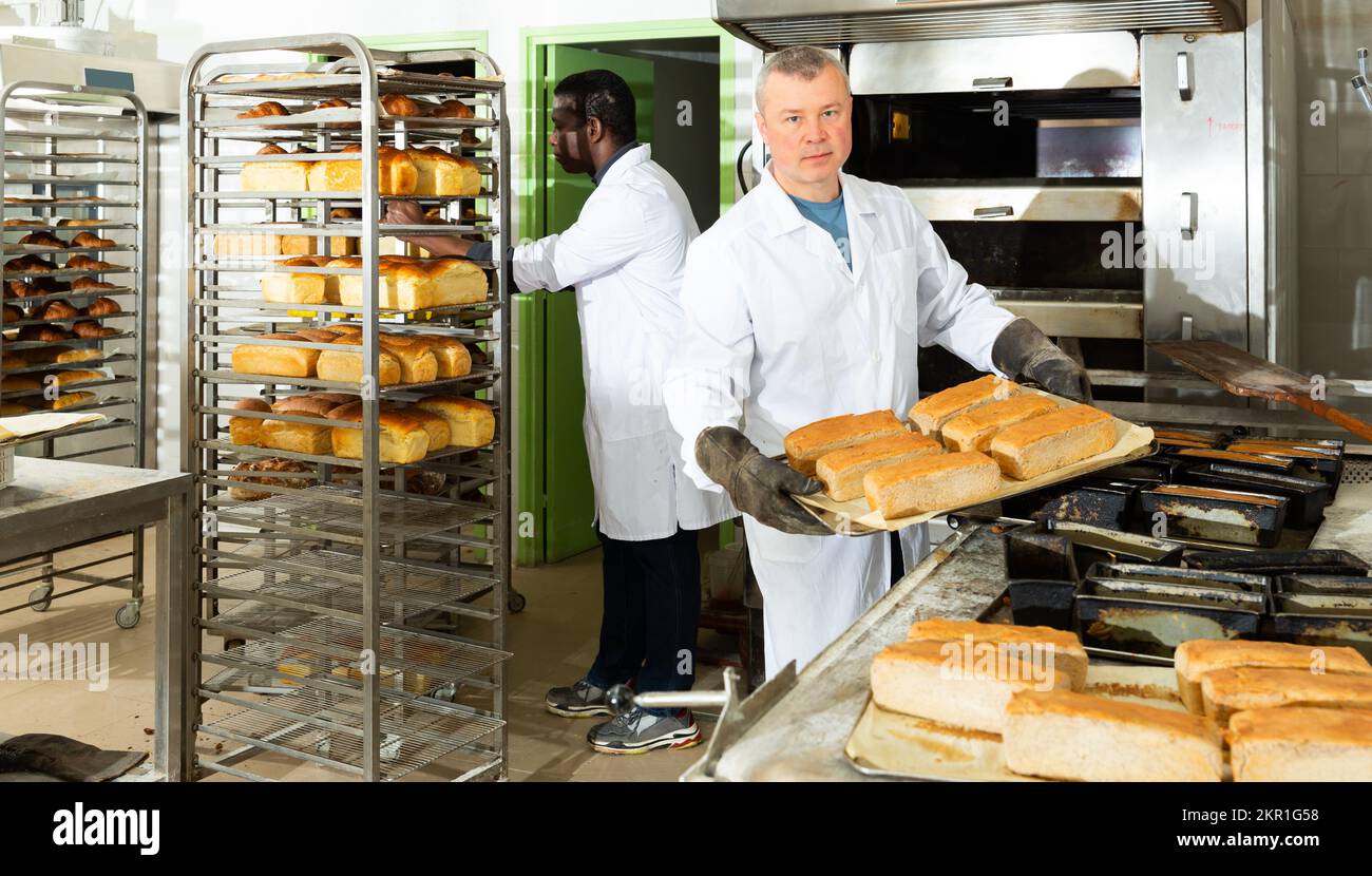 Bakery worker arranging trays with baked loaves Stock Photo - Alamy