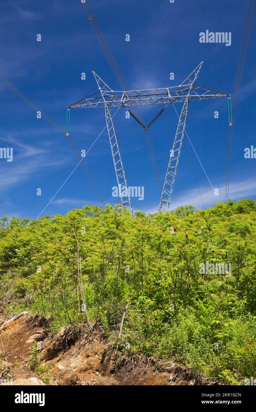 Electricity transmission tower in field in spring, Laurentians, Quebec ...