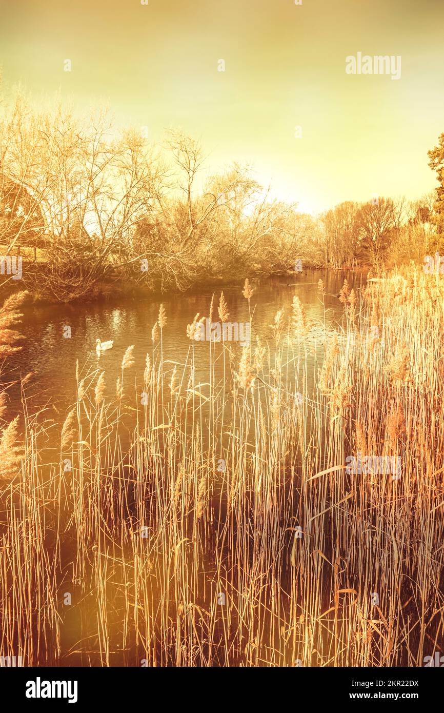 Vintage faded blurred nature background hi-res stock photography and ...