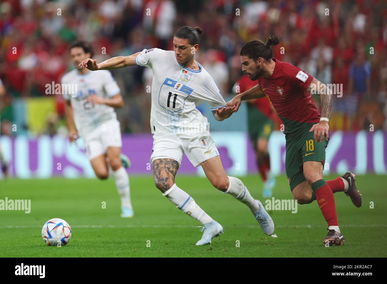 Lusail, Qatar. 28th Nov, 2022. (L to R) Darwin Nunez (URY), Ruben Neves ...