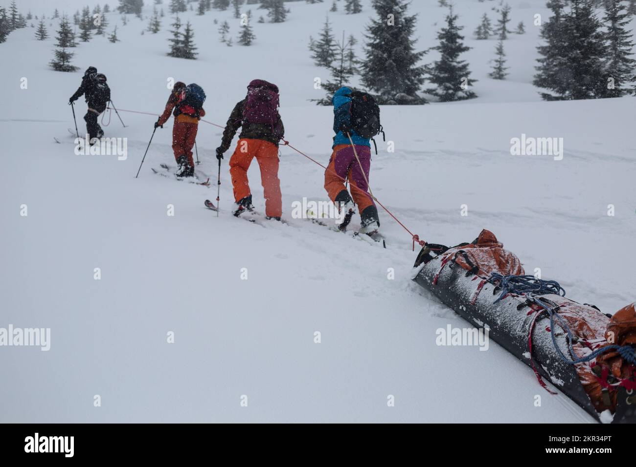 Ski rescuers pull a special sled (akya) in the mountains with the ...