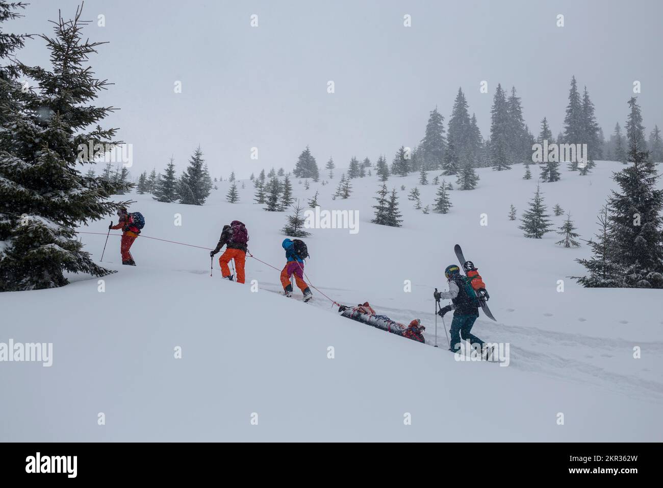 Ski rescuers pull a special sled (akya) in the mountains with the ...