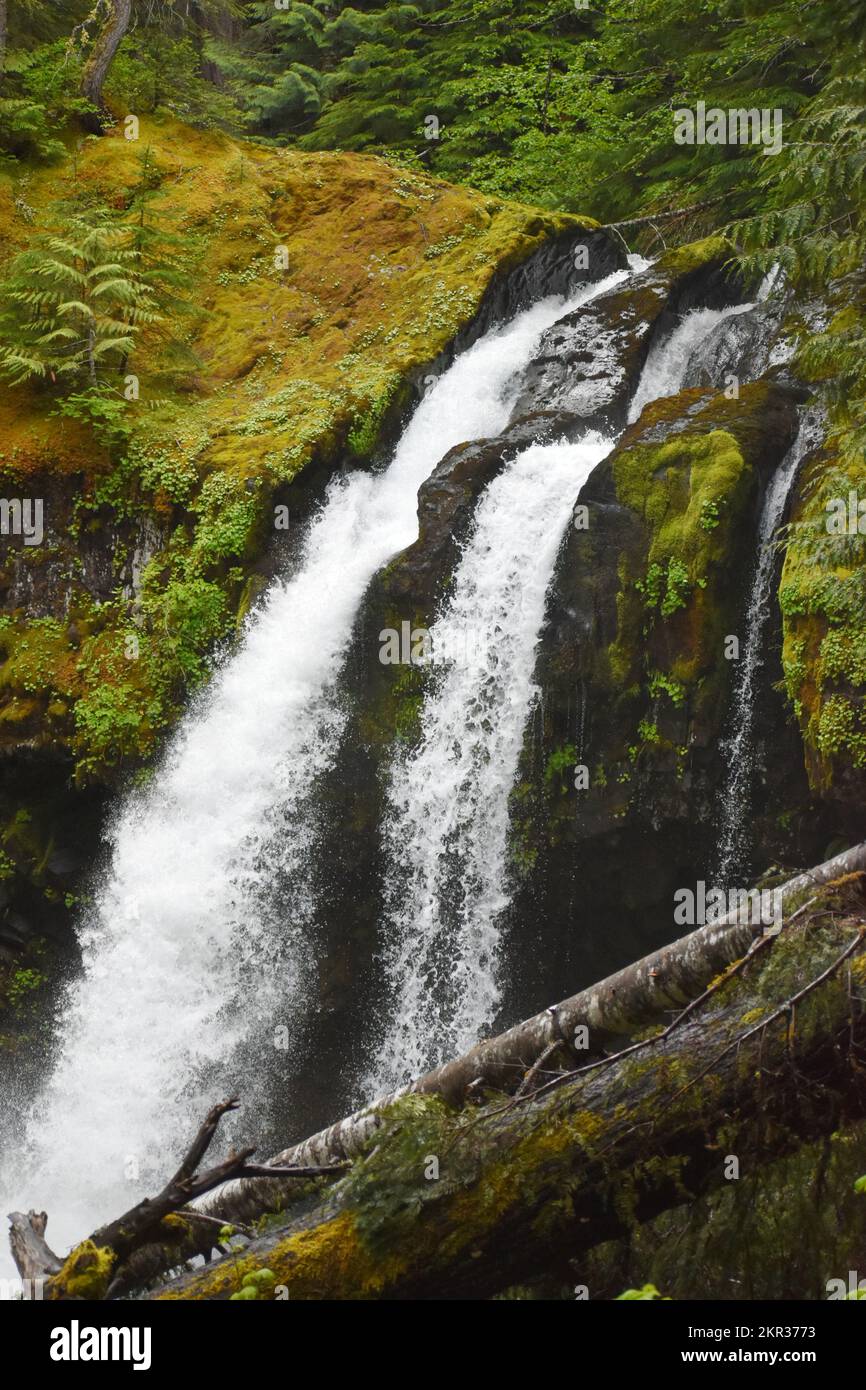 Iron Creek Falls Stock Photo - Alamy