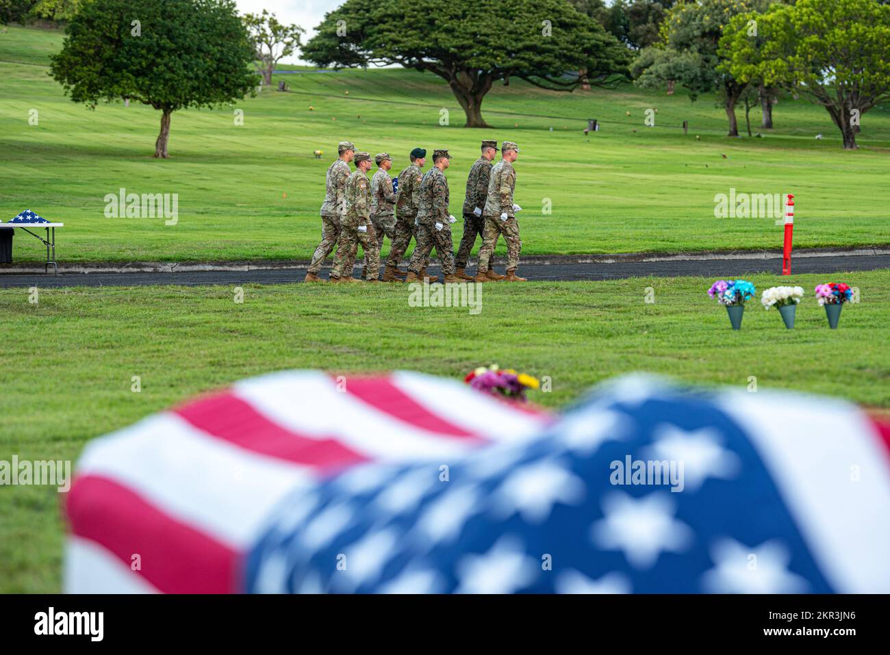 Members of the Defense POW/MIA Accounting Agency (DPAA) participate in ...