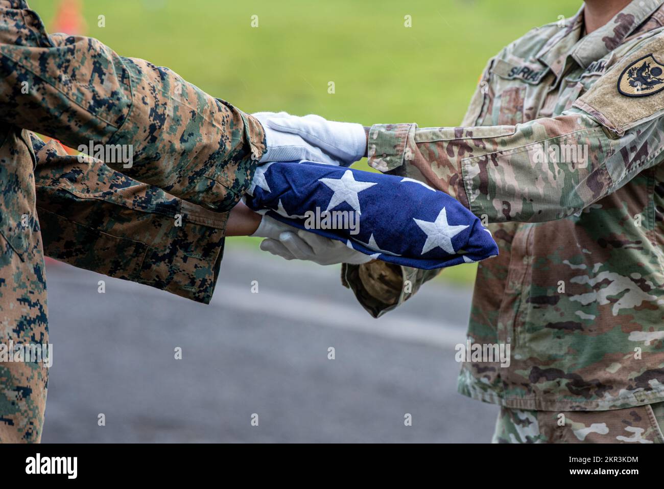 Members of the Defense POW/MIA Accounting Agency (DPAA) participate in ...
