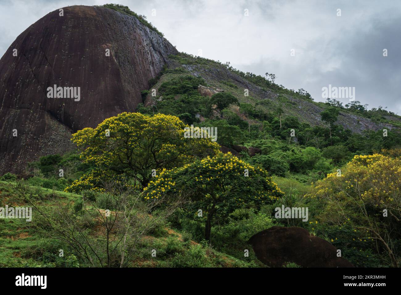 View of rock mountains and hills covered with flowering trees near ...