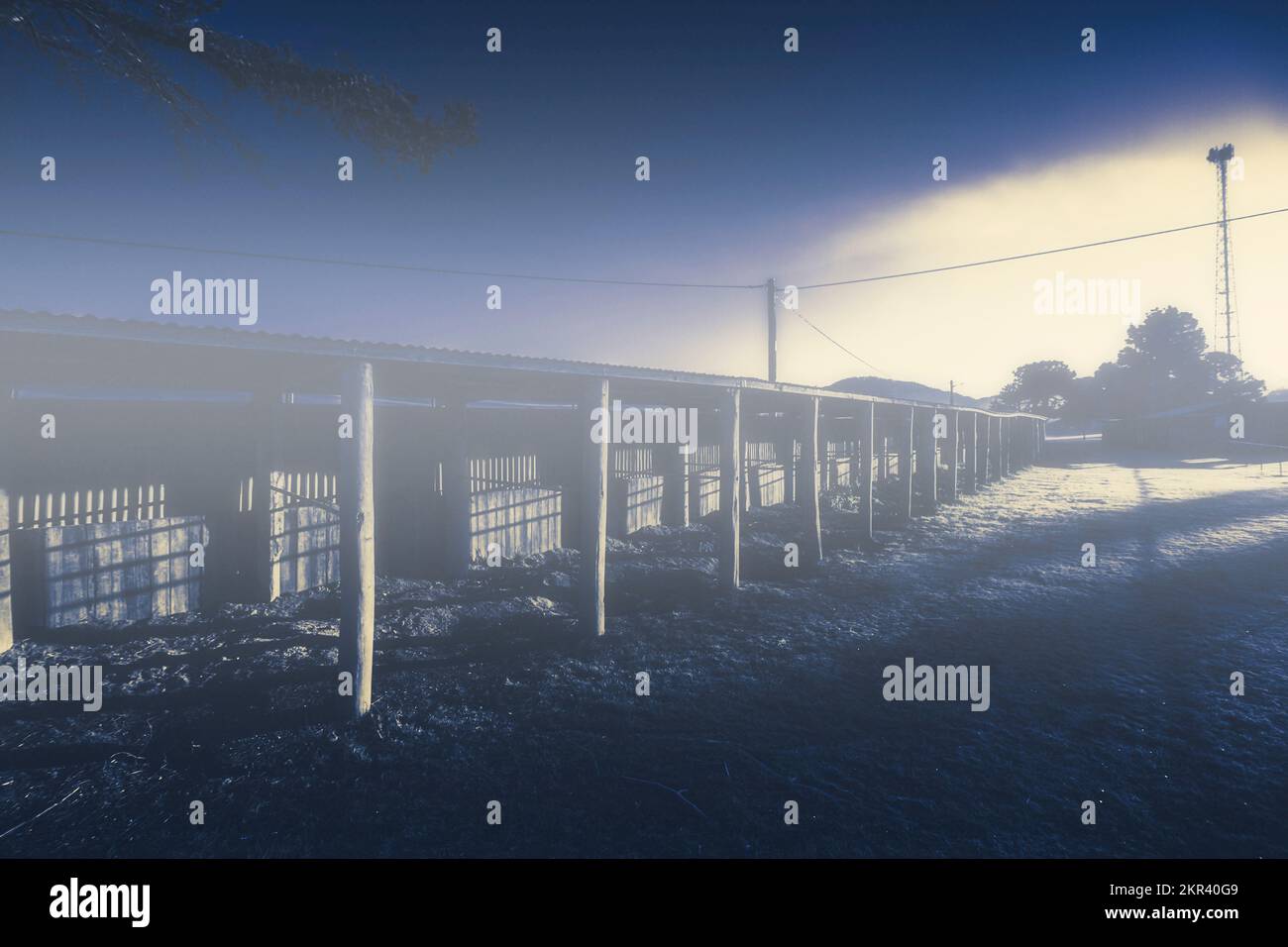 Misty wooden horse stables empty during a cold winter night. St Marys ...