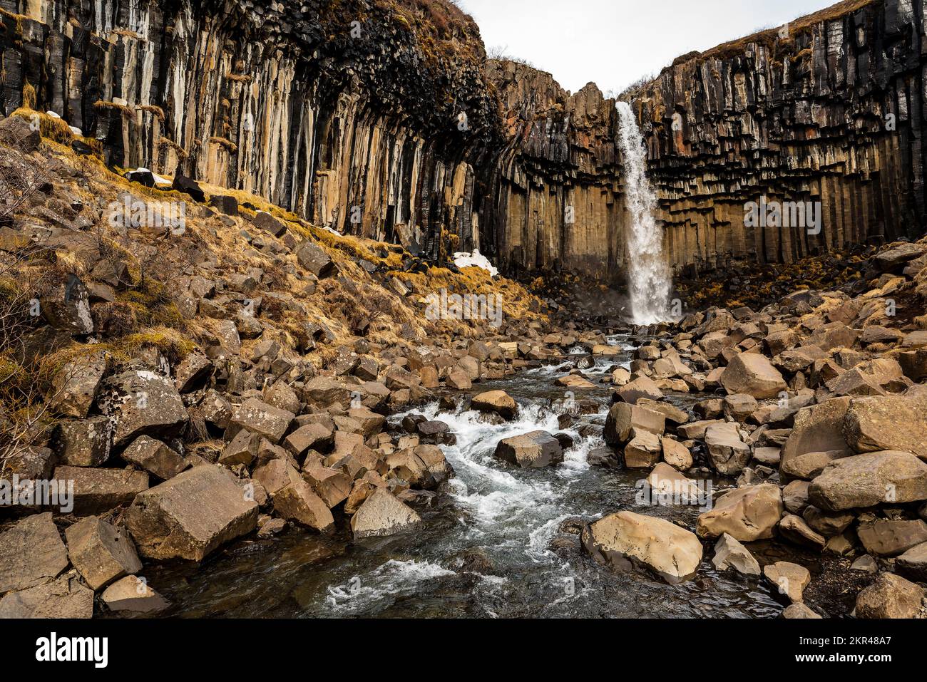 The unique basalt columns around Svartifoss waterfall, Skaftafell ...