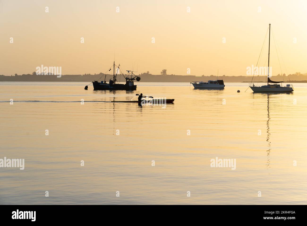 Downtown waterfront sunrise as paddler in silhouette floats past caught ...