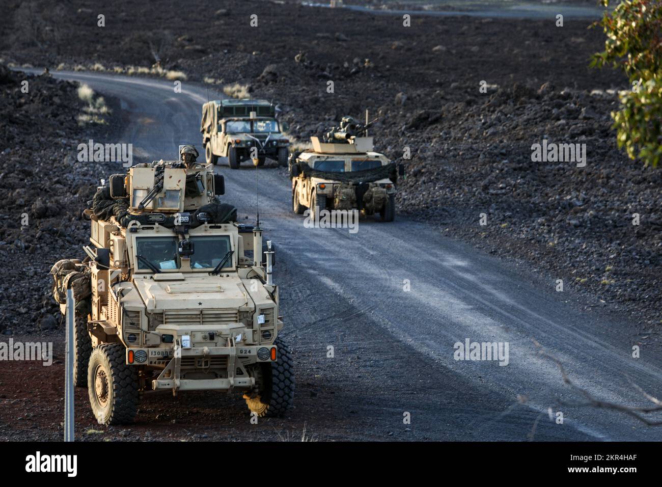 130th en battalion hi-res stock photography and images - Alamy