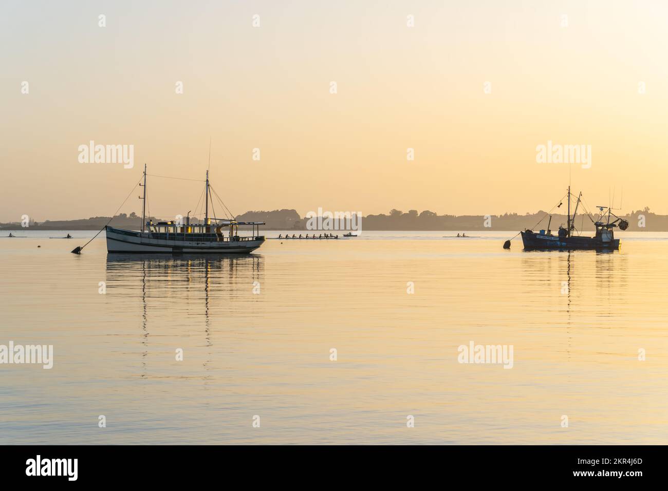 Golden hues of Tauranga Downtown waterfront sunrise over calm harbour ...