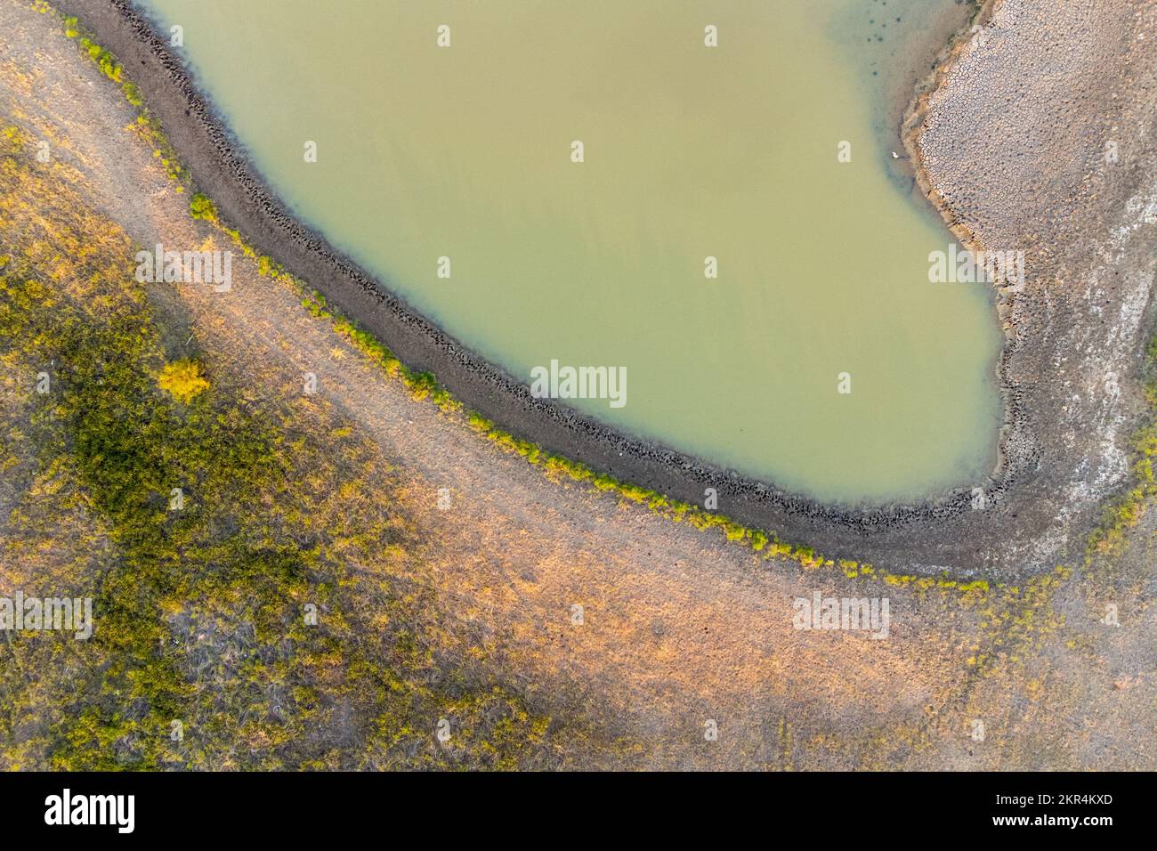 Drone top view of swamp. Swampy landscape. View of an marsh from height ...