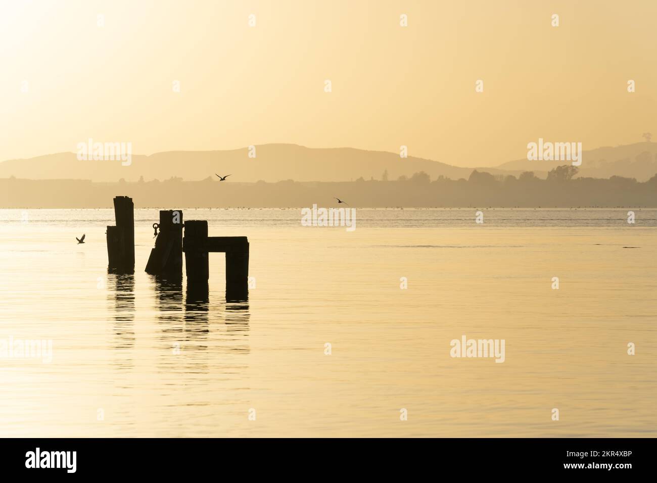 Harbour structure hi-res stock photography and images - Alamy