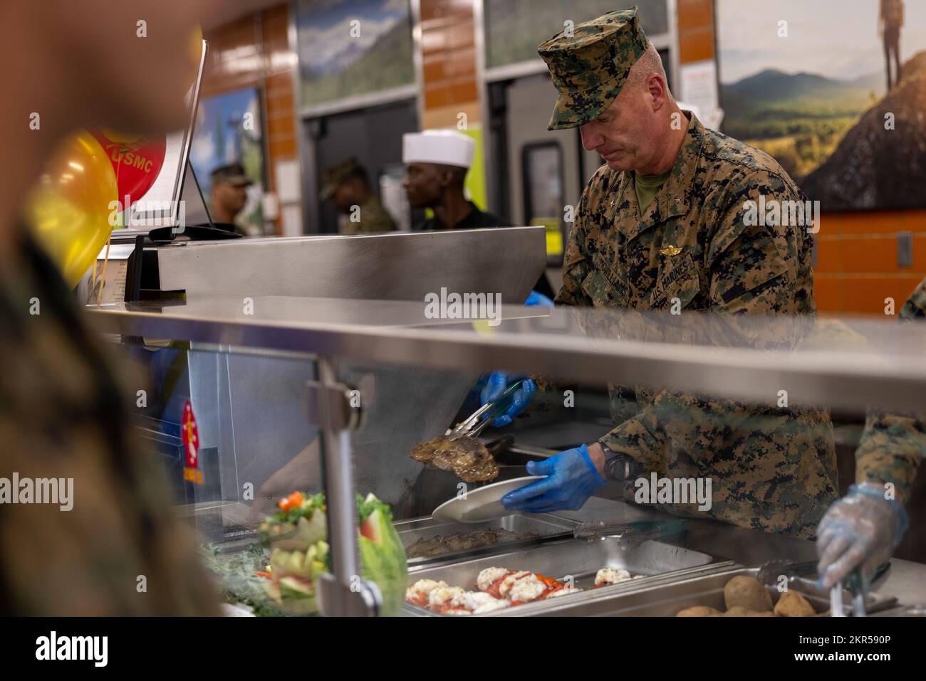 U.S. Marine Corps Brig. Gen Michael McWilliams, the commanding general ...