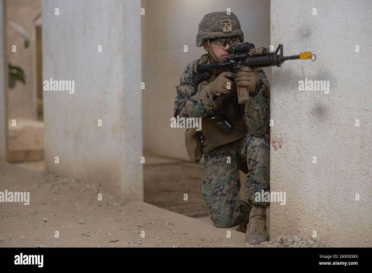 U.S. Marine Corps Lance Cpl. Domanick Pickler, an Oswego, Illinois ...